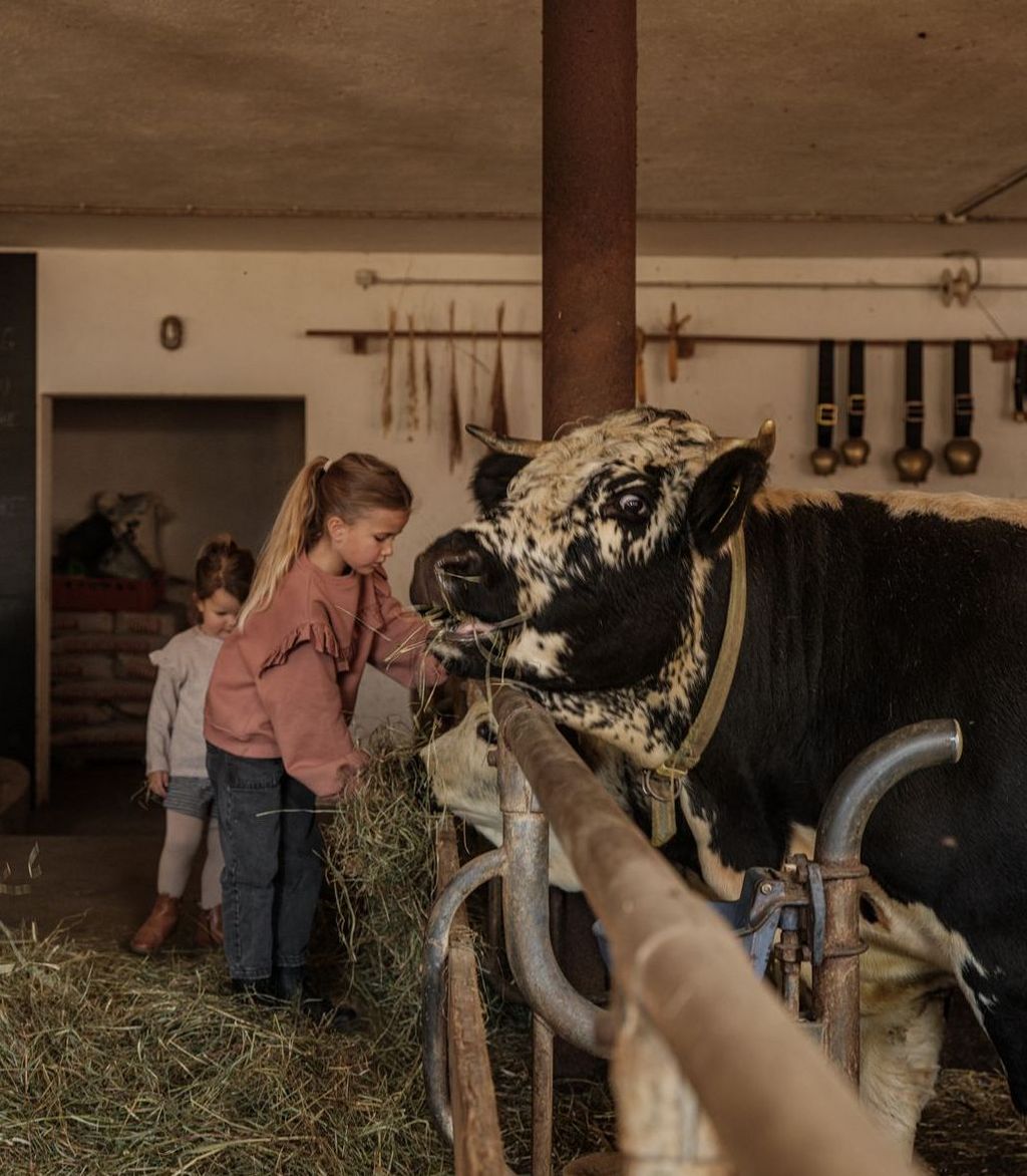 Your Family Hotel in South Tyrol | Family Hotel Sonnwies